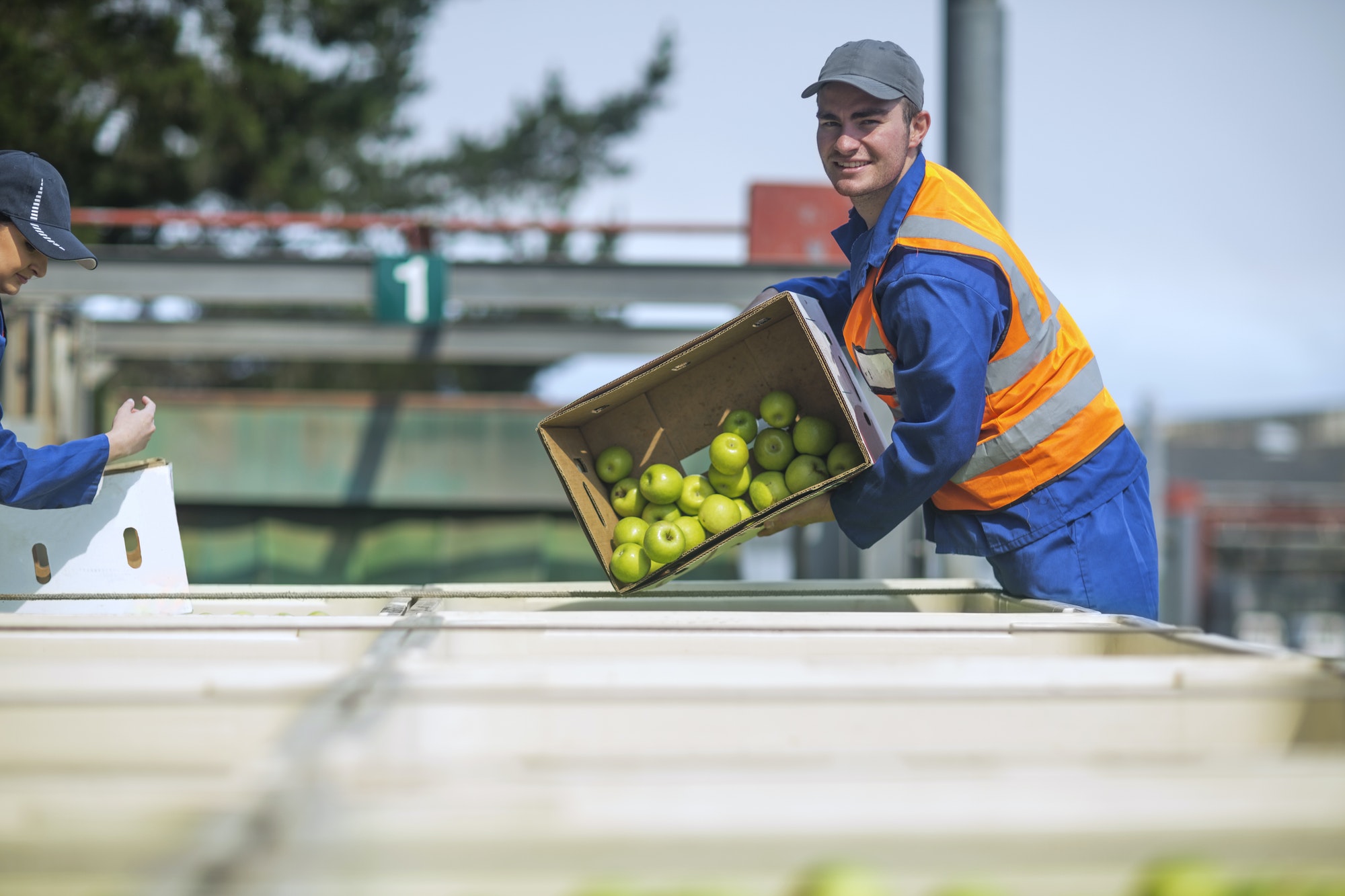 Frutas procesadas – Comex – Quintero Bravo S.A.S